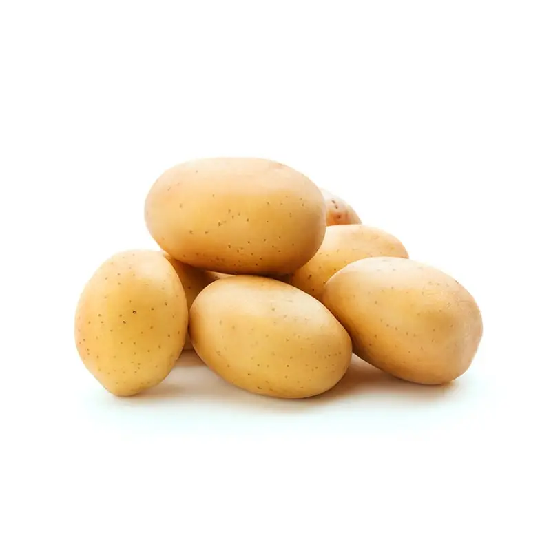 Potatis Tvättad 30-36mm 10 kg från Everfresh | #106117 | Rotfrukter ...
